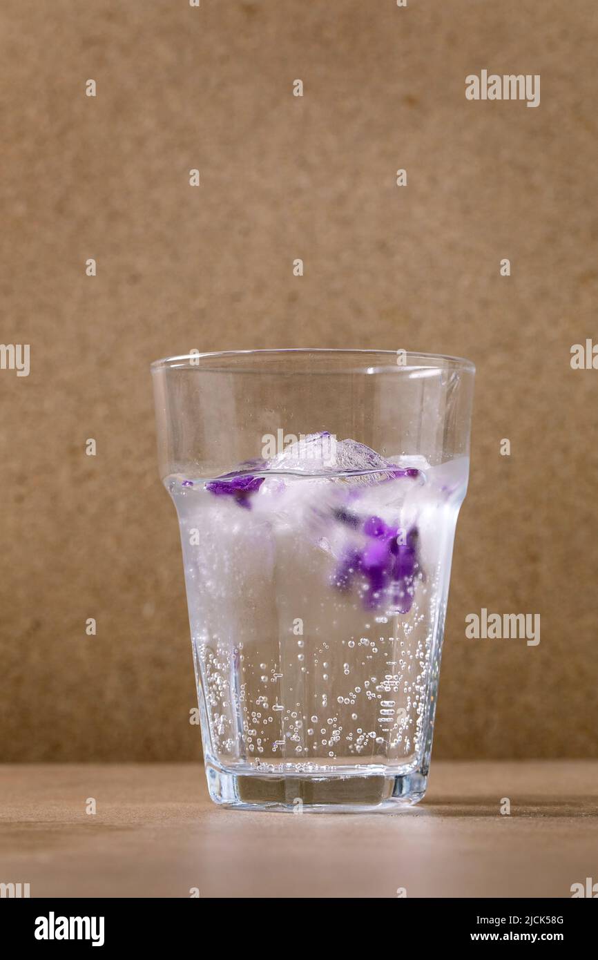 Transparent glass of sparkling soda with of violets flower ice cubes ...