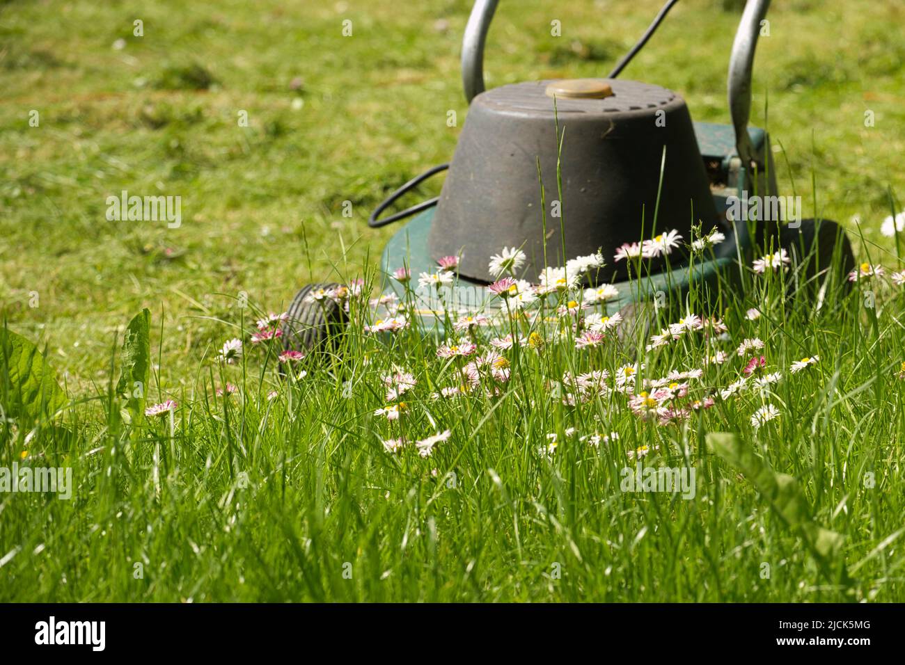 Seasons and yard maintenance concept with electric lawn mower and ...