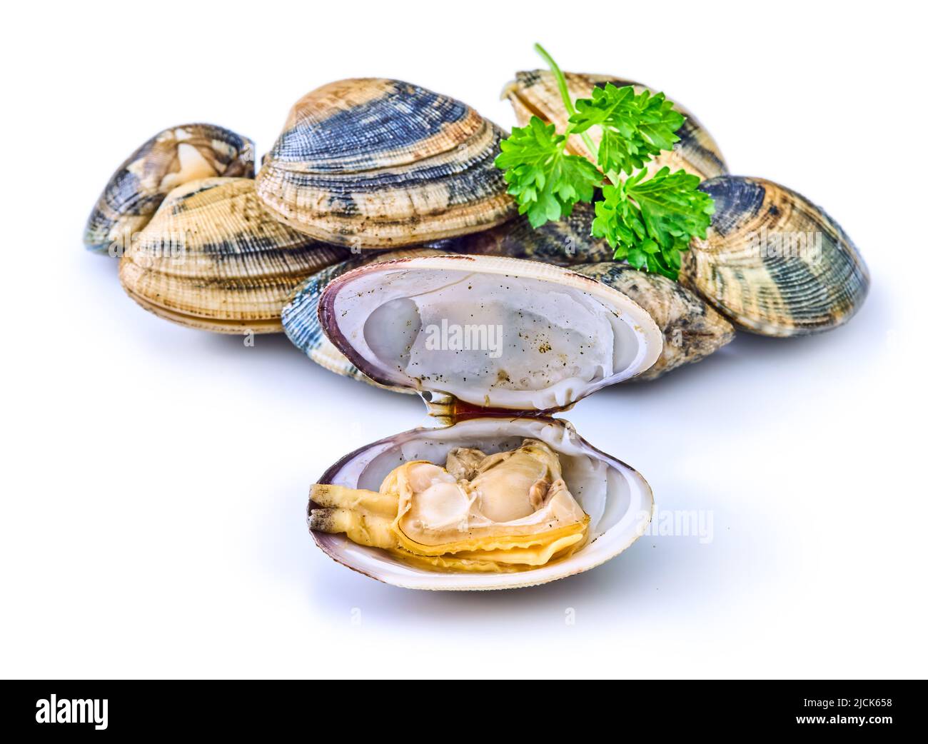 open en closed clams with shellfish isolated on white background Stock ...