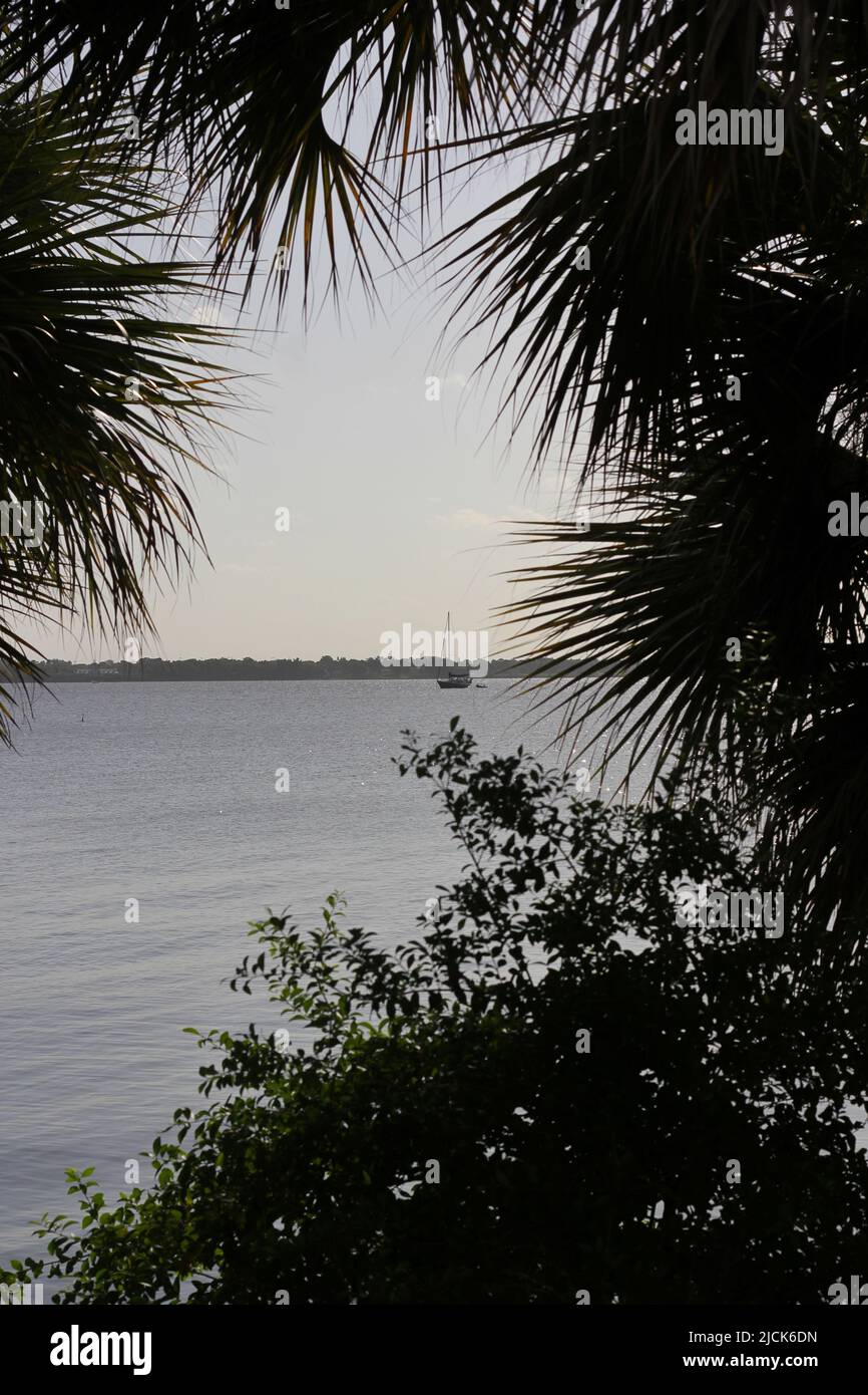 Growing trees near shore picturesque hi-res stock photography and ...