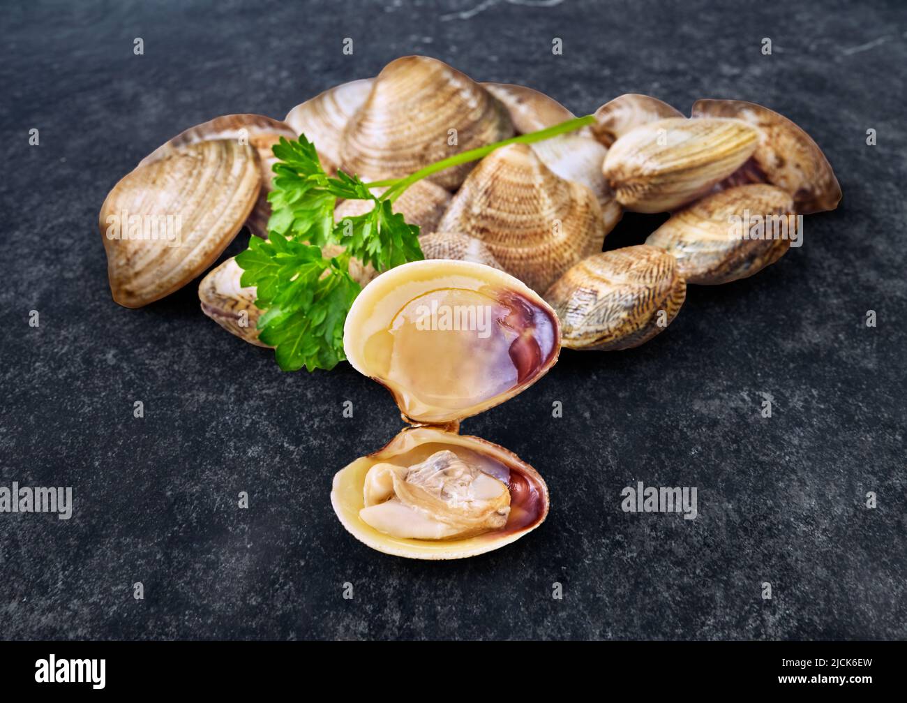 open en closed clams with shellfish isolated on black background Stock ...