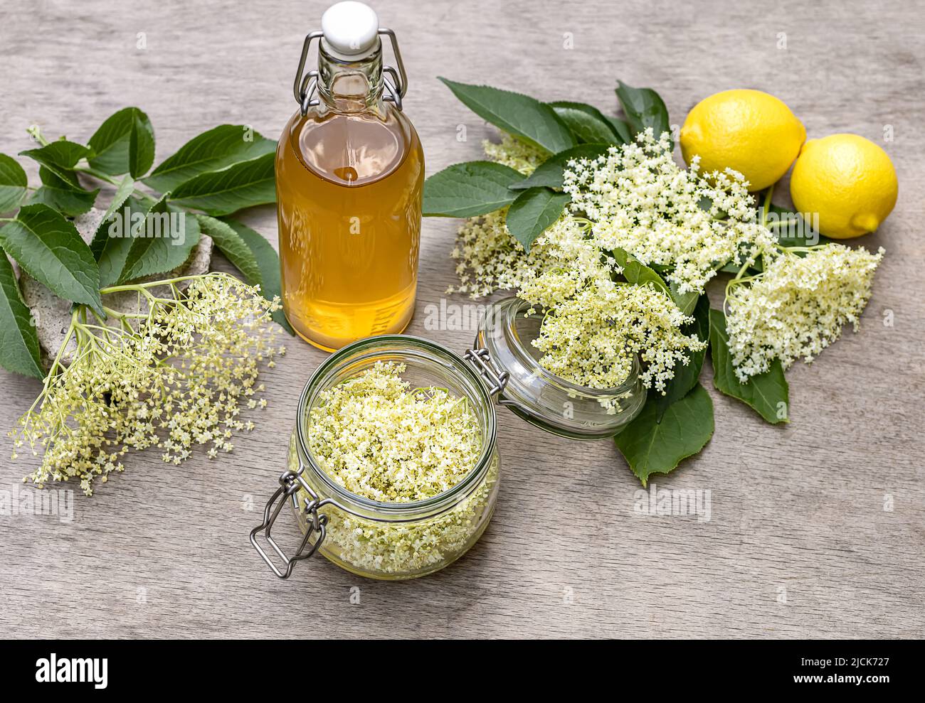 Classic elderflower cordial recipe with wild foraged elderflowers and ...