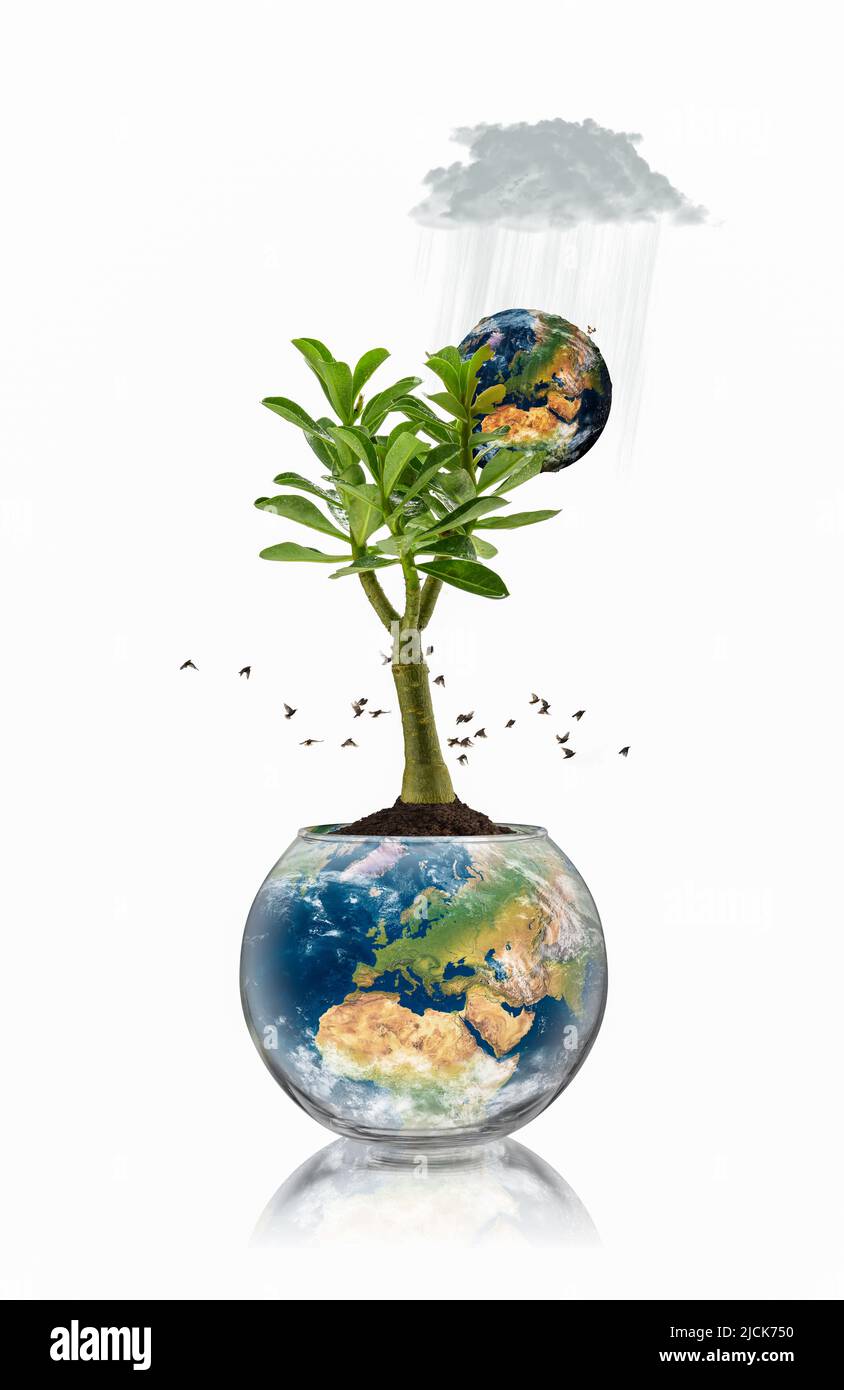 Images Of Earth With Tree Planting Trees To Celebrate Earth Day And
