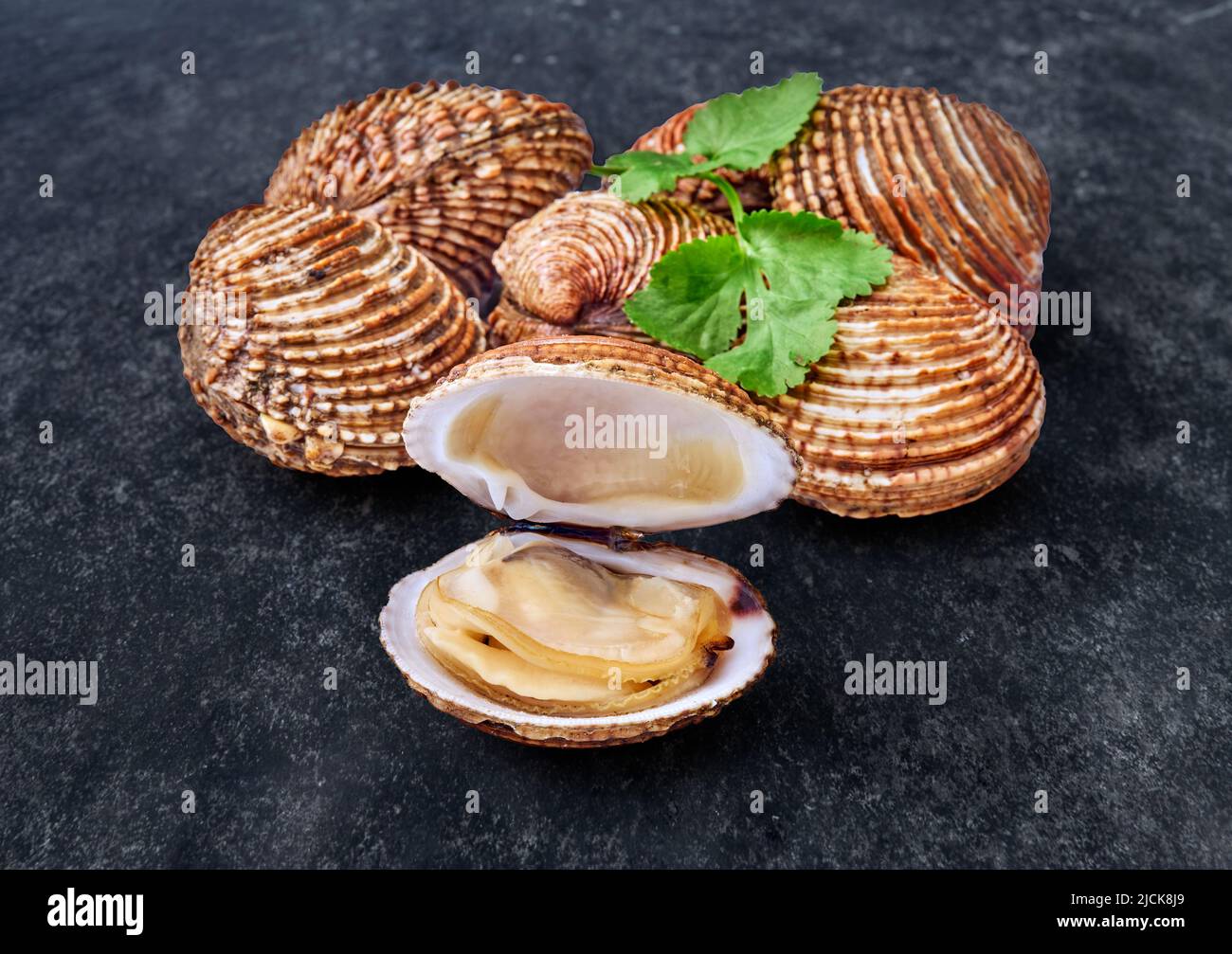 open en closed clams with shellfish isolated on black background Stock ...