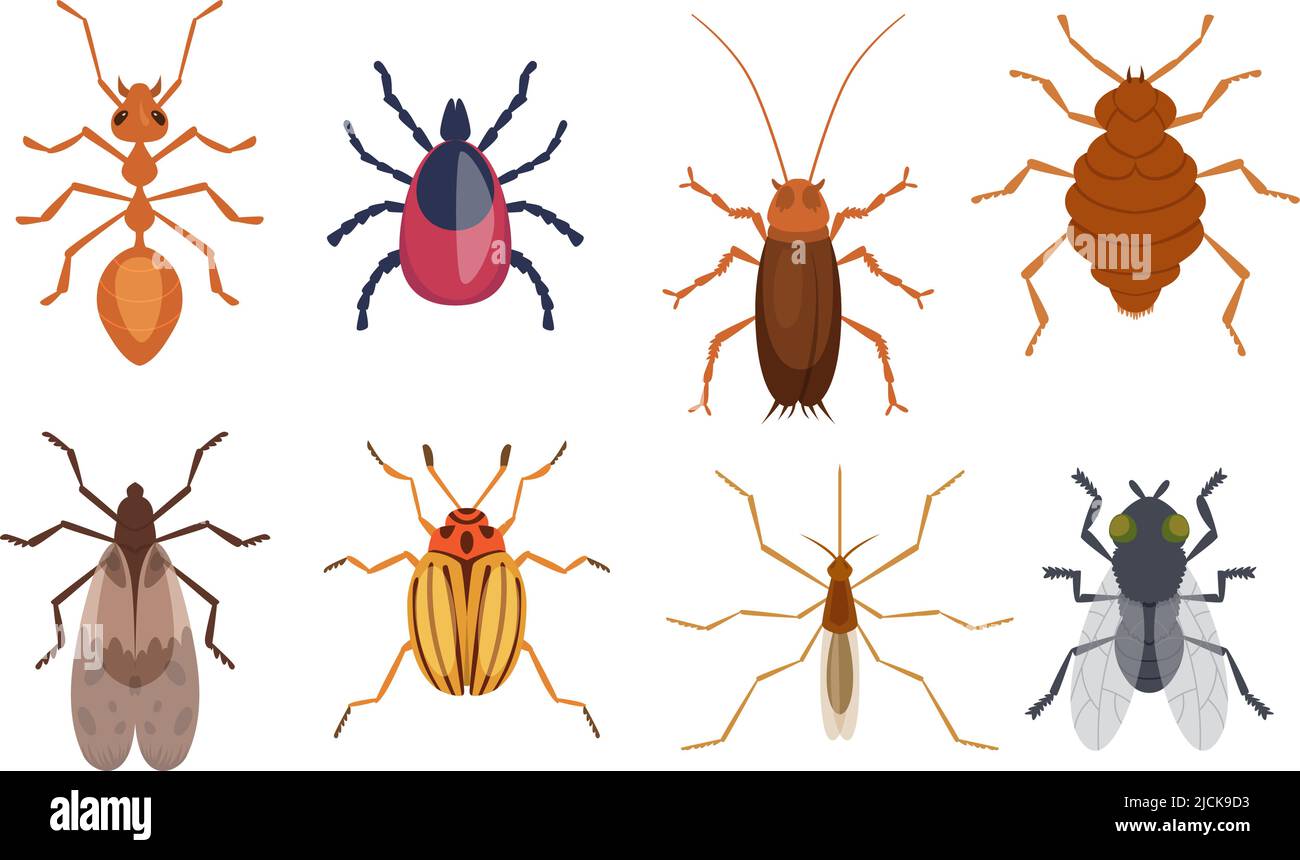 Harmful insects. Pests ants centipedes roaches bugs sprayers exact ...