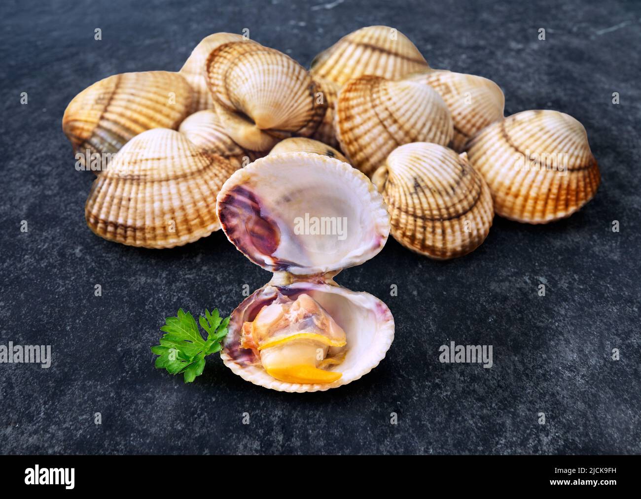 open en closed clams with shellfish isolated on black background Stock ...