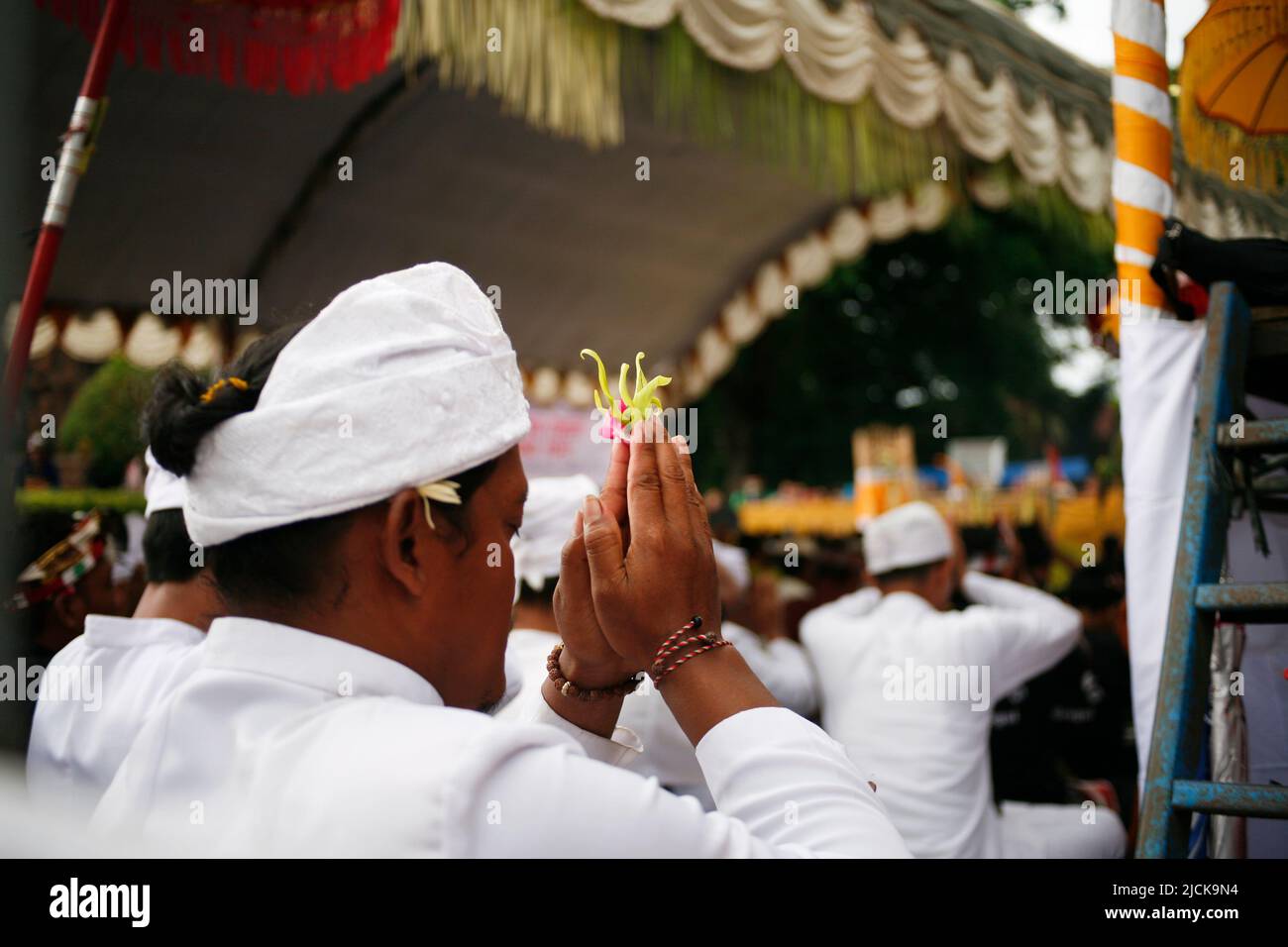 Rear view of hindu people praying while holding flowers in their hands ...
