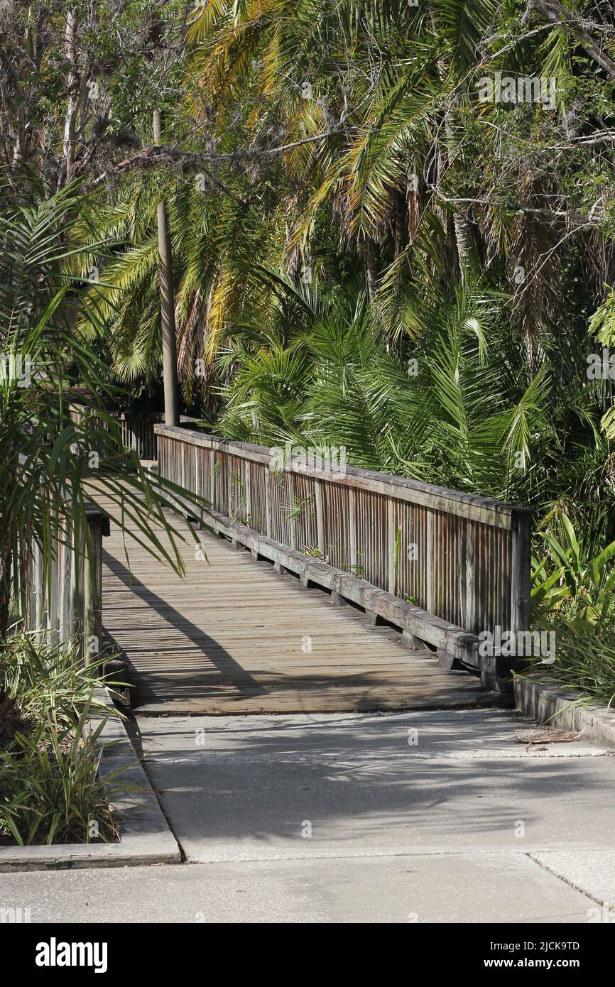 A traditional wooden bridge crossing an overgrown thick jungle Stock ...