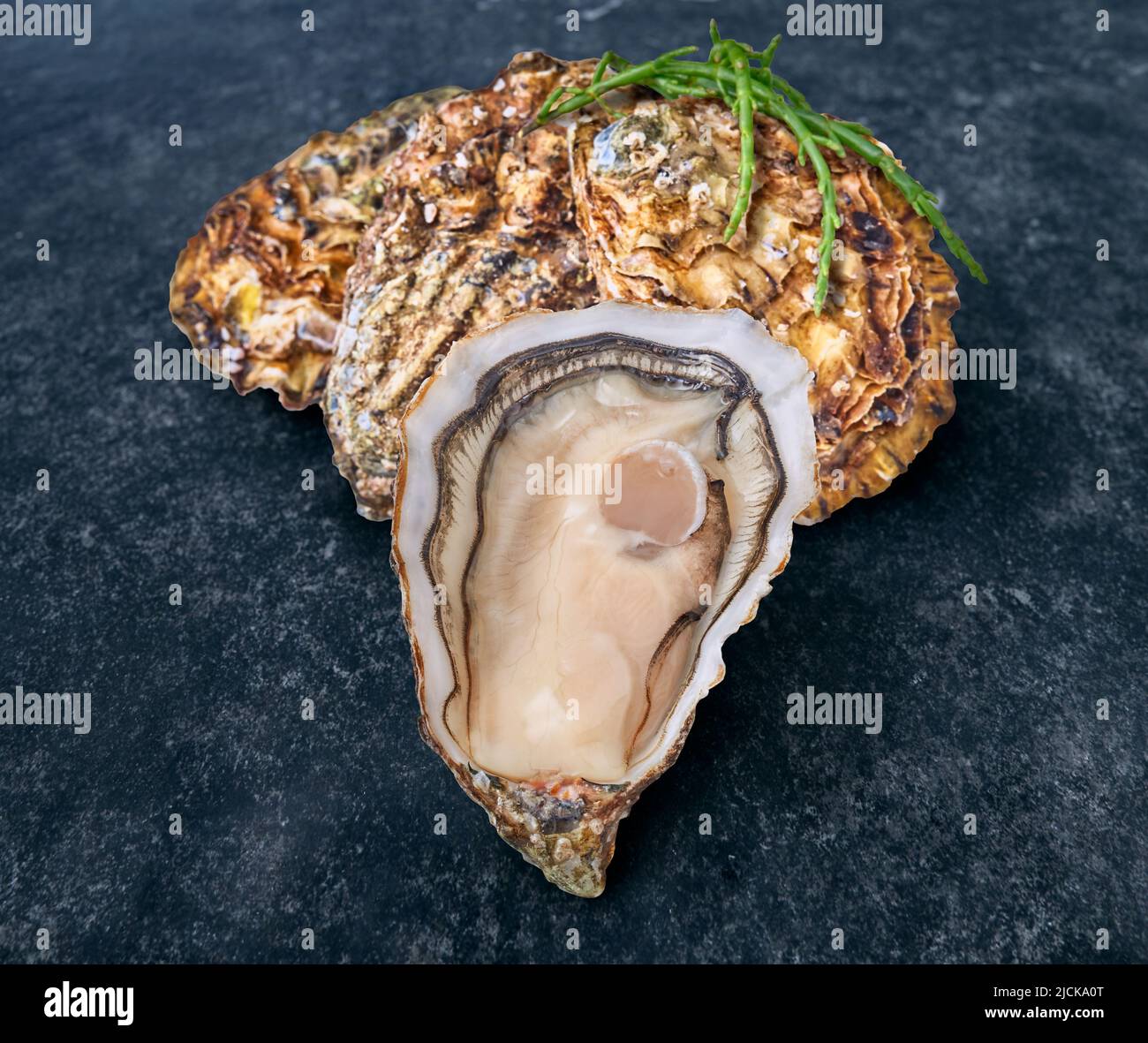 Open fresh raw oyster clams isolated and ready to eat Stock Photo - Alamy