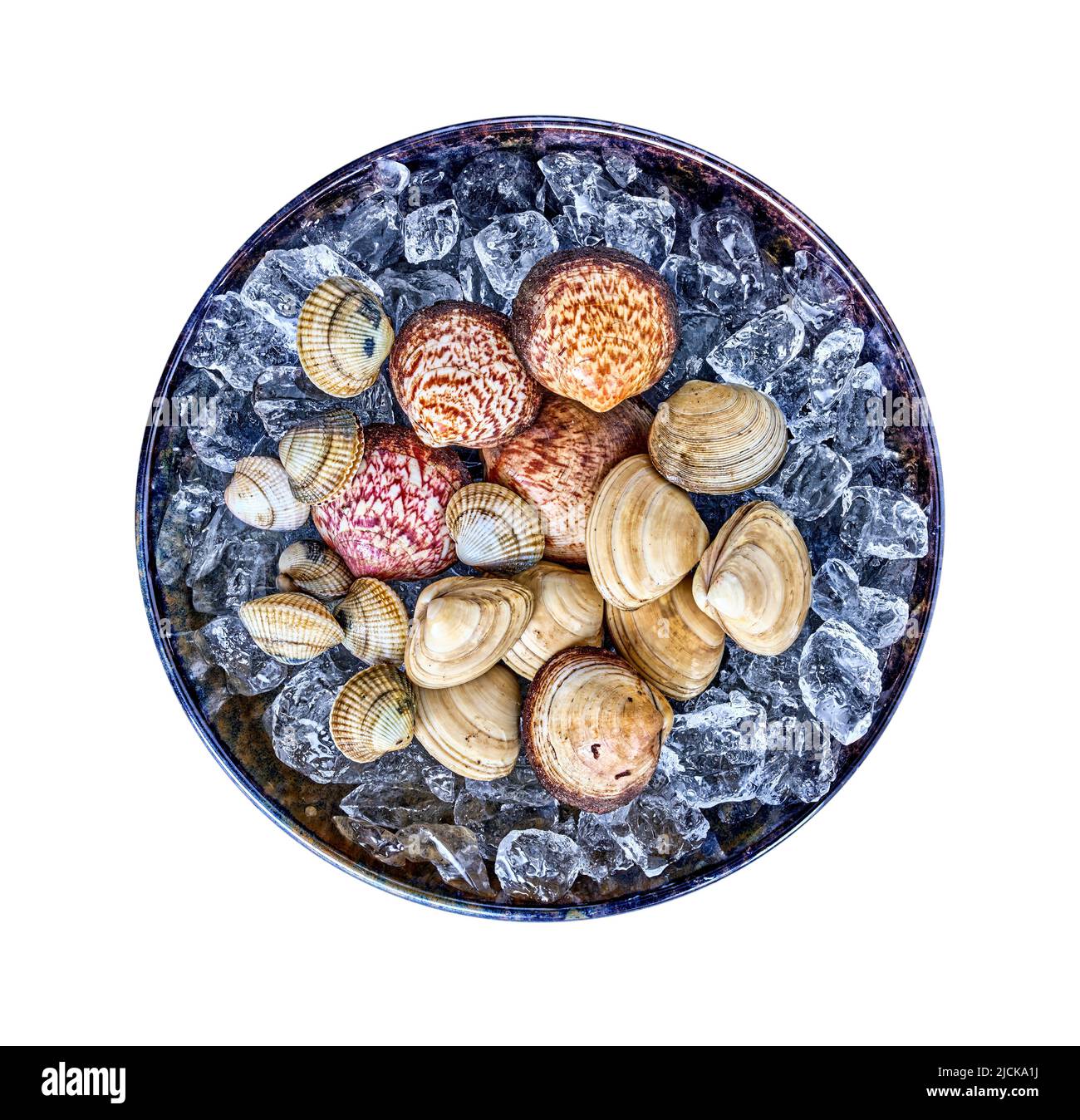 assorted clams with shellfish on white background Stock Photo - Alamy