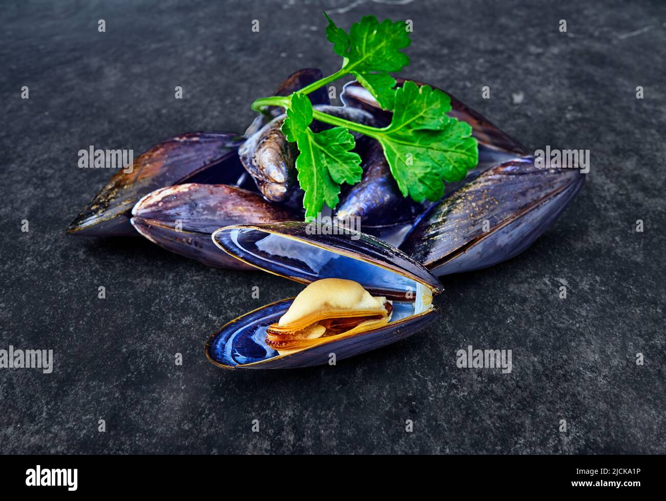 open en closed clams with shellfish isolated on black background Stock ...