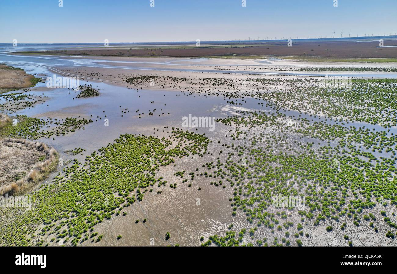 Protected wetlands ecosystem hi-res stock photography and images - Alamy