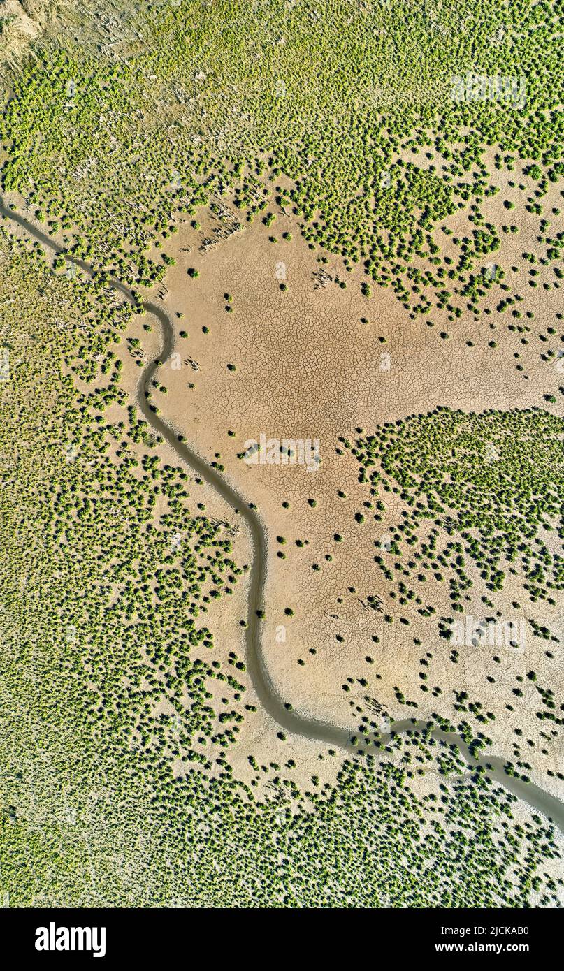 Protected wetlands ecosystem hi-res stock photography and images - Alamy