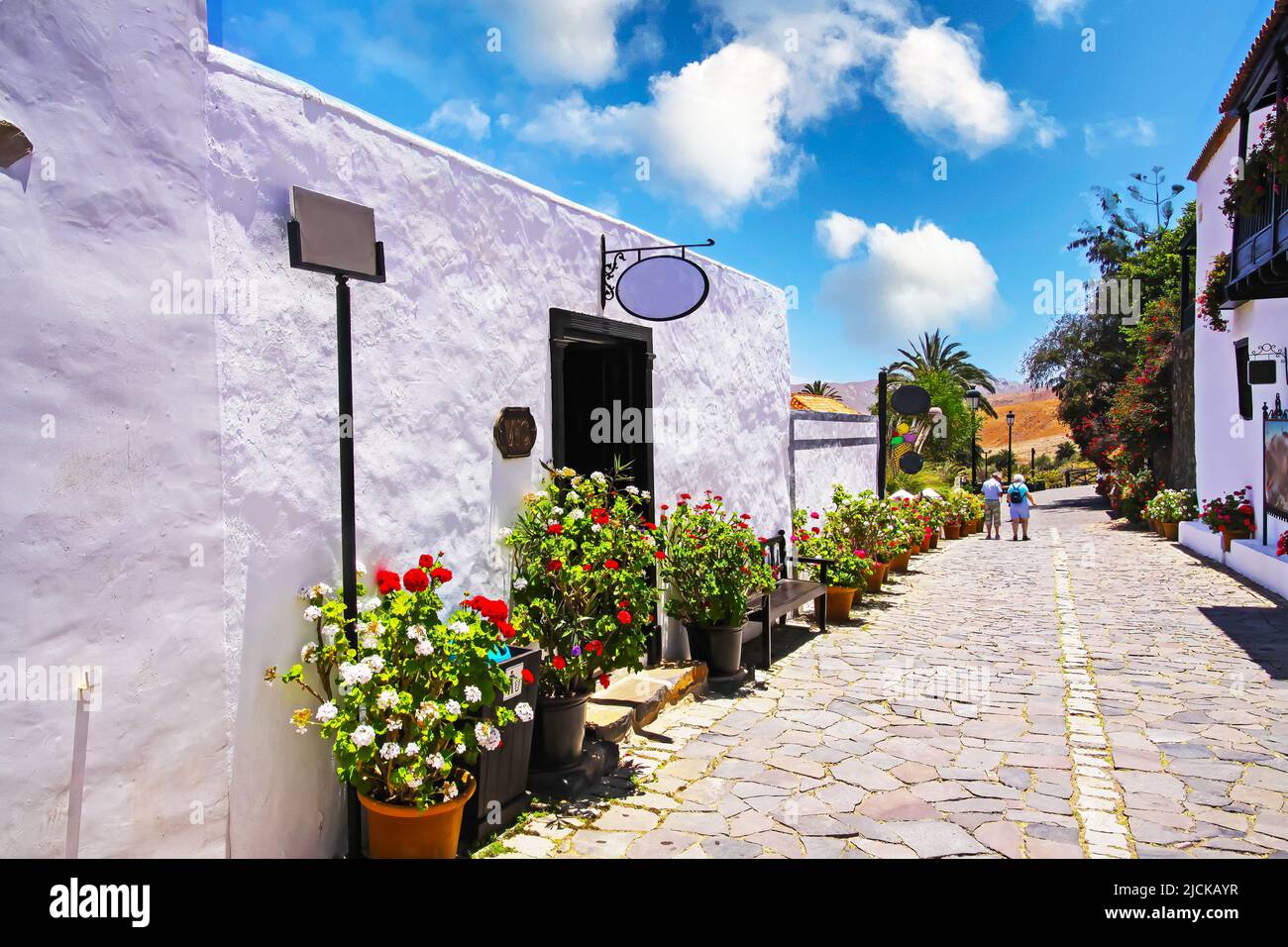 Calm street in rural village, bright white houses, row colorful flower ...