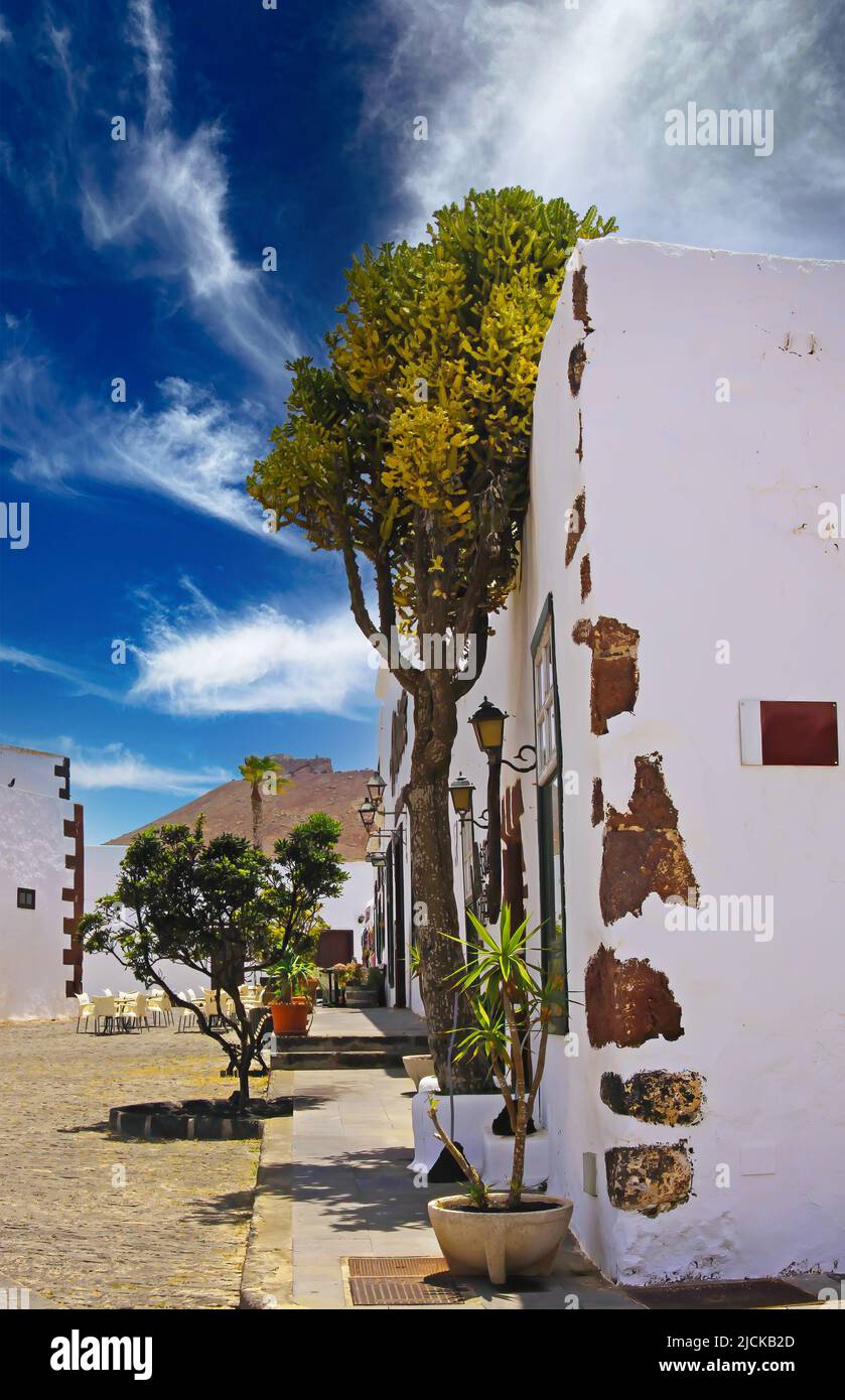 Beautiful street with bright white houses, trees narrow to the wall ...