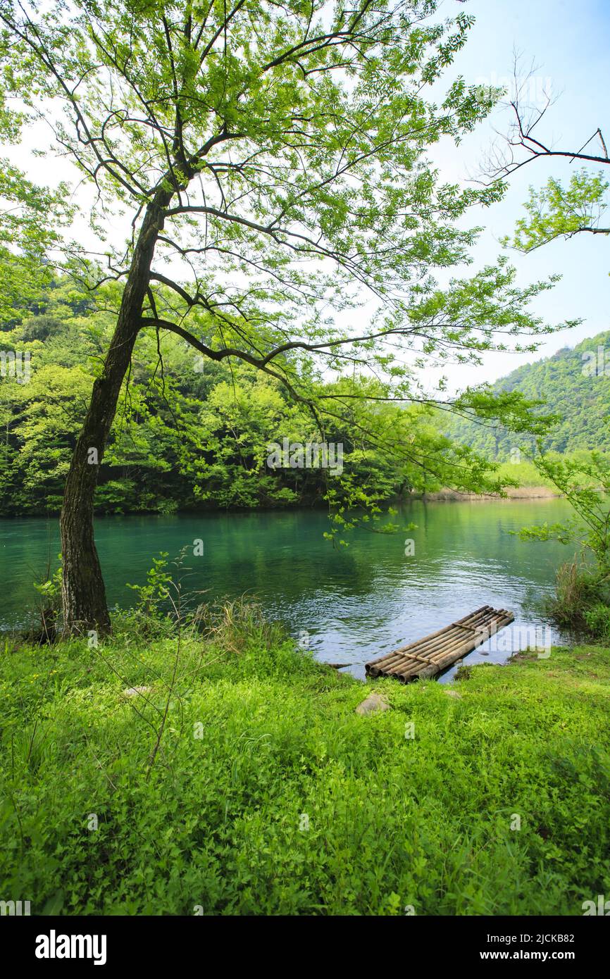 Landscape trees and ecological greening forest villages in Jiangnan ...