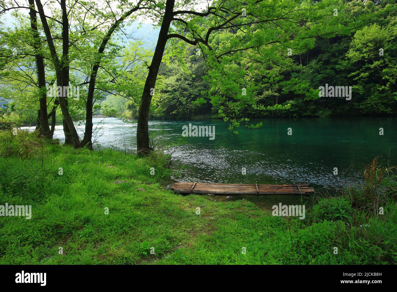 Landscape trees and ecological greening forest villages in Jiangnan ...