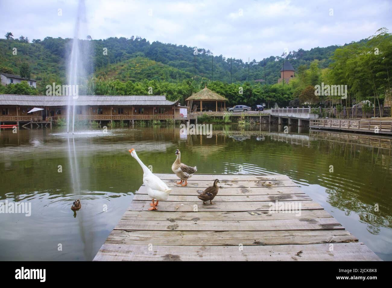 Siming at the resort Stock Photo - Alamy