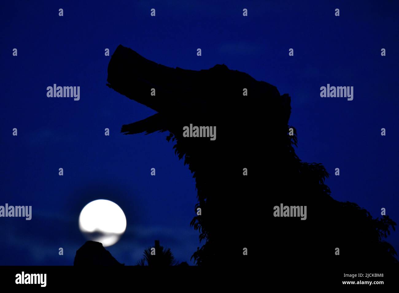 Jurassic Moon. Last nights full moon casts Jurassic like moonlight over ...