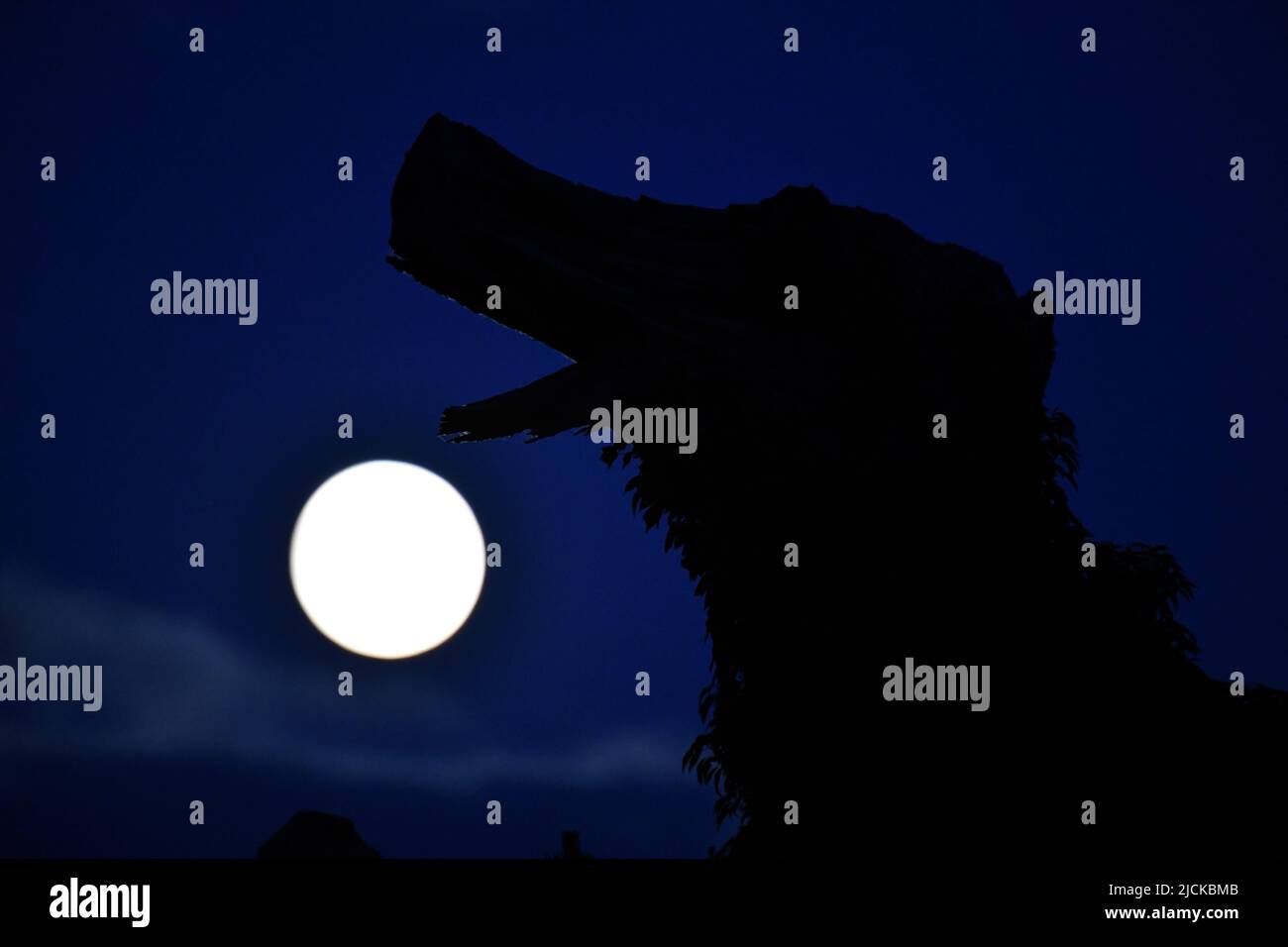 Jurassic Moon. Last nights full moon casts Jurassic like moonlight over ...
