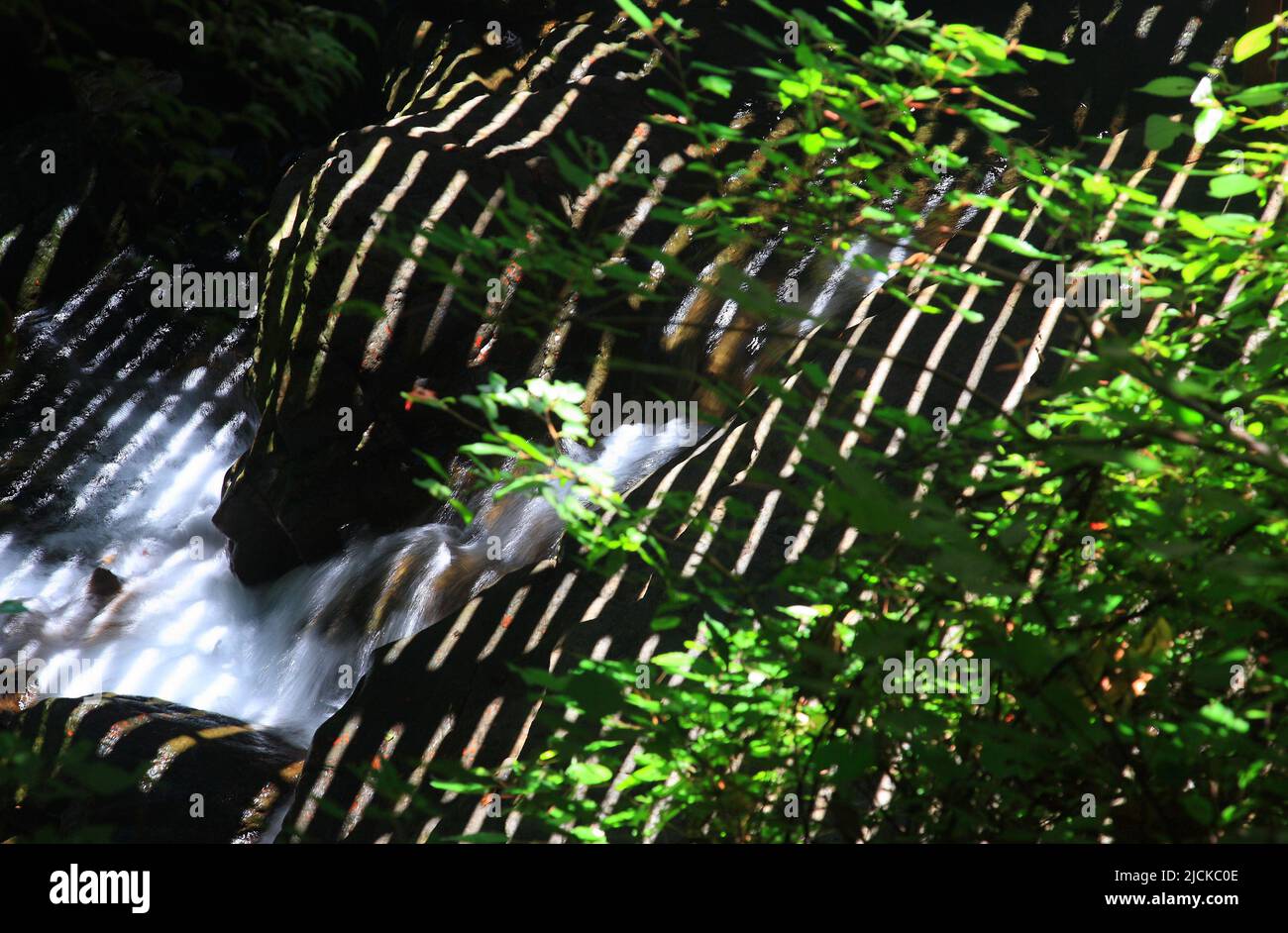 Five dragon pool hi-res stock photography and images - Alamy