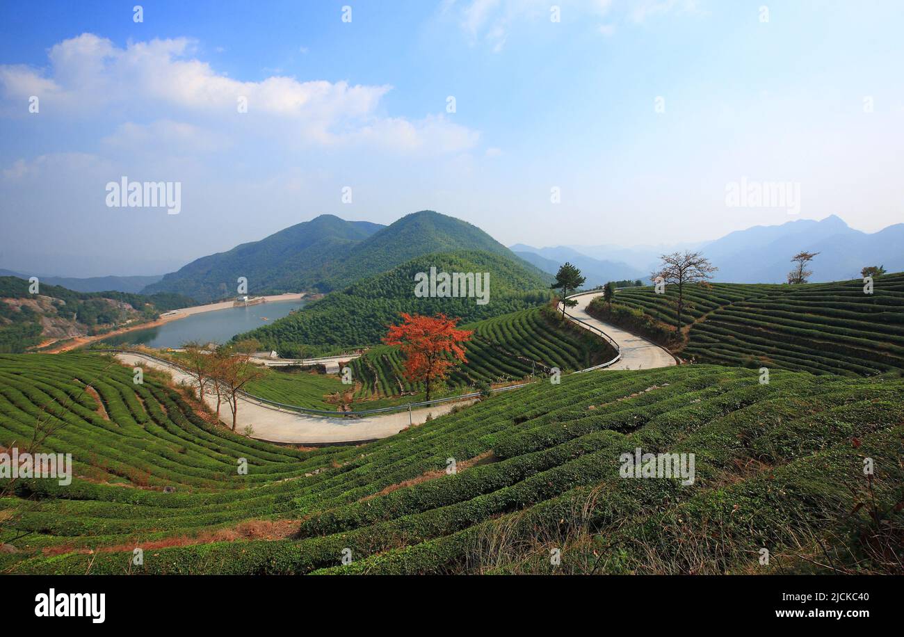 View the top tea mountain lake Stock Photo - Alamy