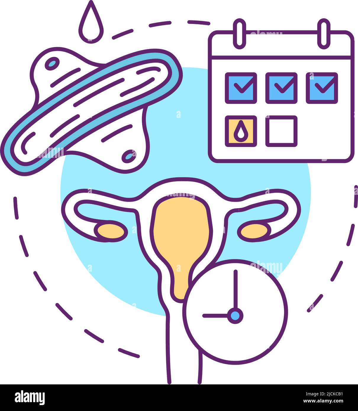 Menstrual cycle phase concept icon for light theme Stock Vector Image ...