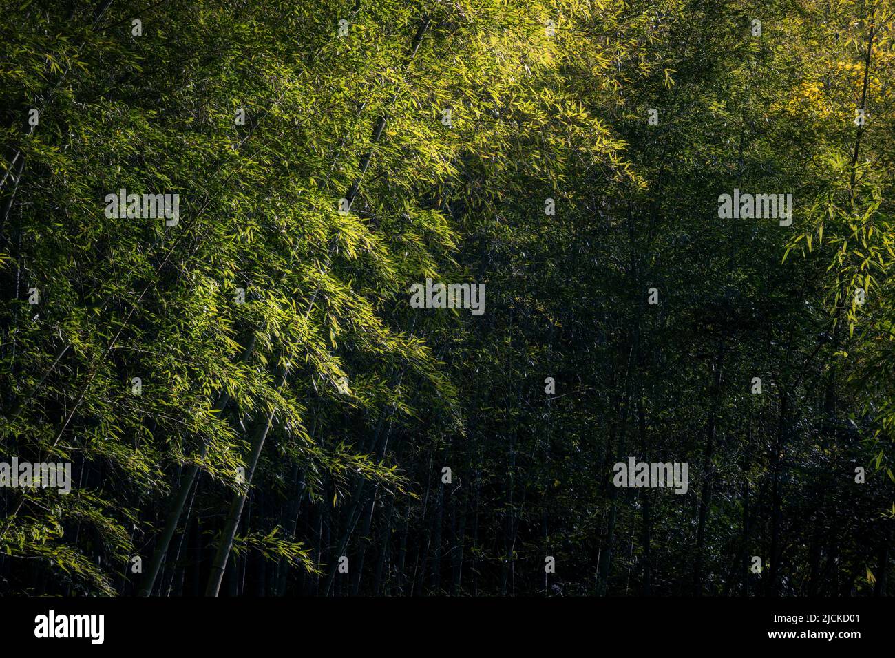 Guangzhou rural hi-res stock photography and images - Alamy