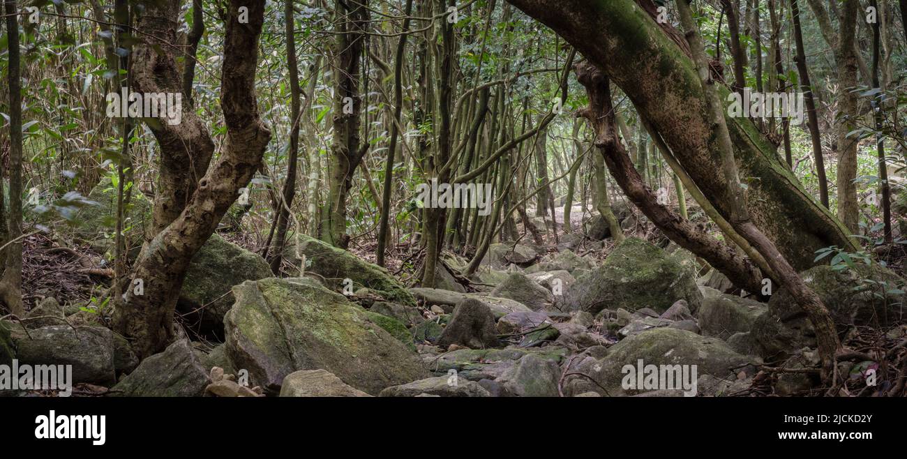 Guangzhou natural hi-res stock photography and images - Alamy