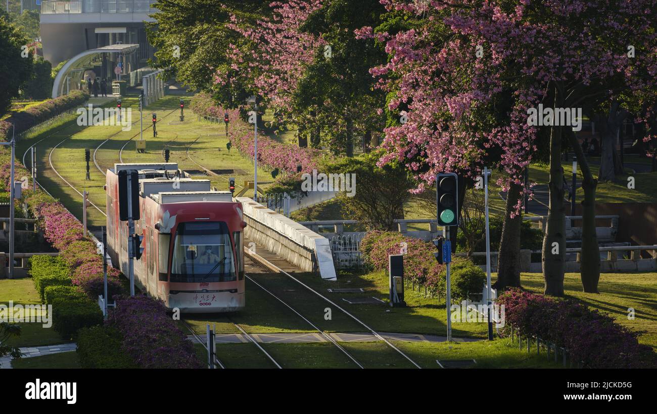 Tree trams hi-res stock photography and images - Alamy
