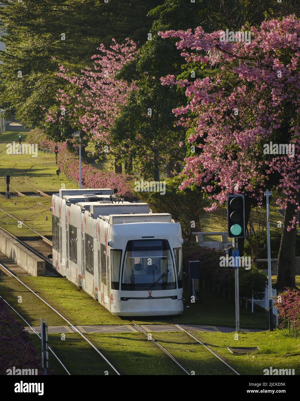 Tree trams hi-res stock photography and images - Alamy