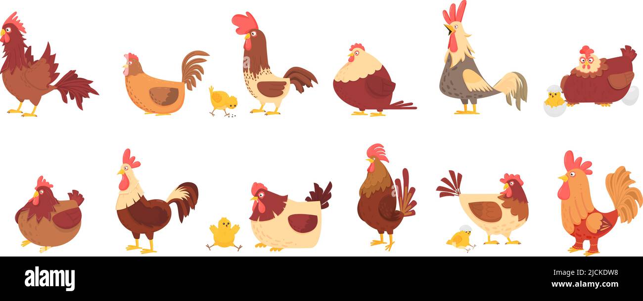 Chicken set. Spring chickens and hen with egg, cartoon rooster. Poultry ...