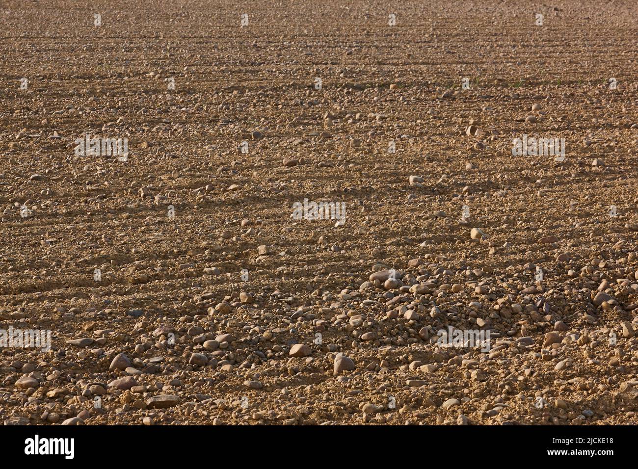 Fallow land ready to be seeding. Agricultural field. Harvest time Stock ...