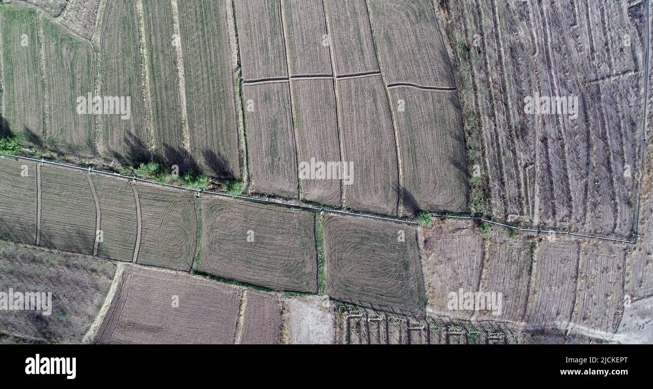 Jujube xinjiang hi-res stock photography and images - Alamy