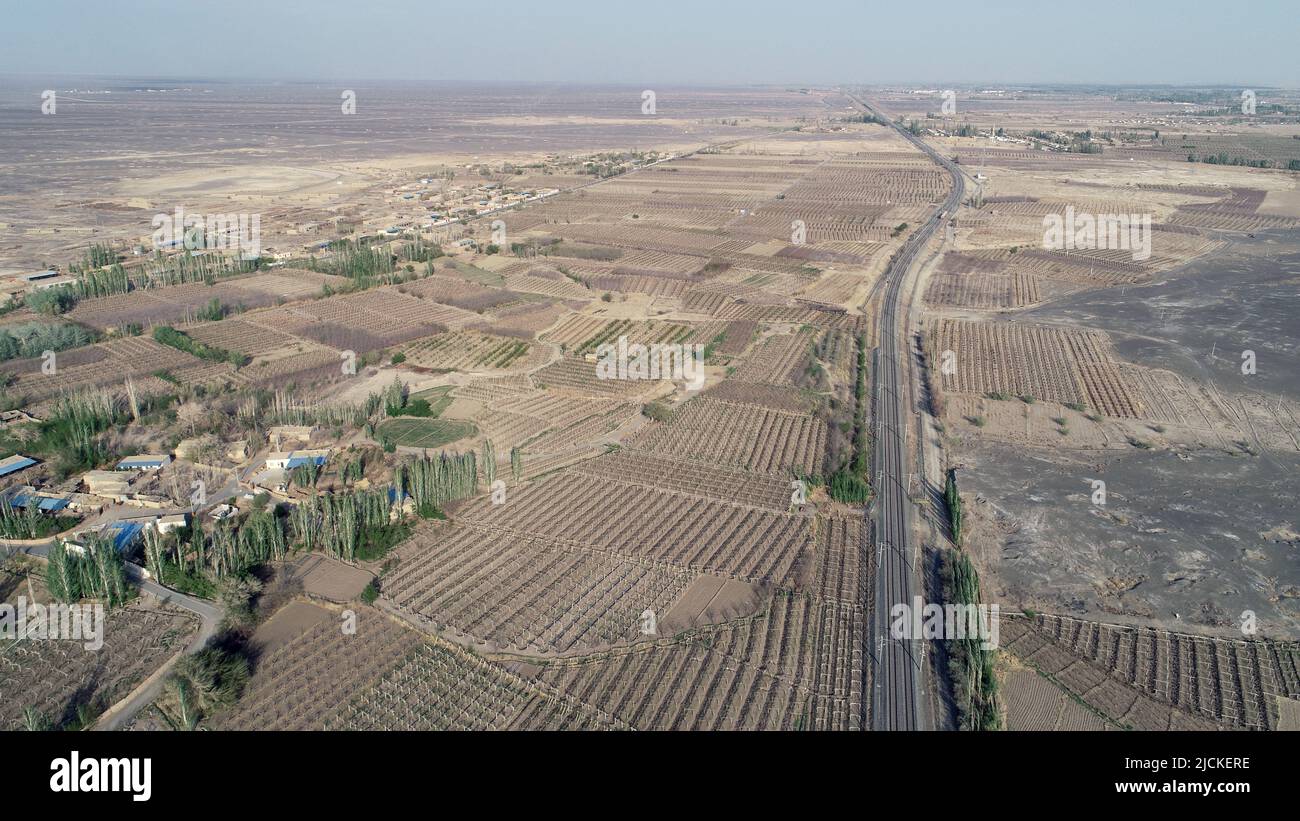Jujube xinjiang hi-res stock photography and images - Alamy