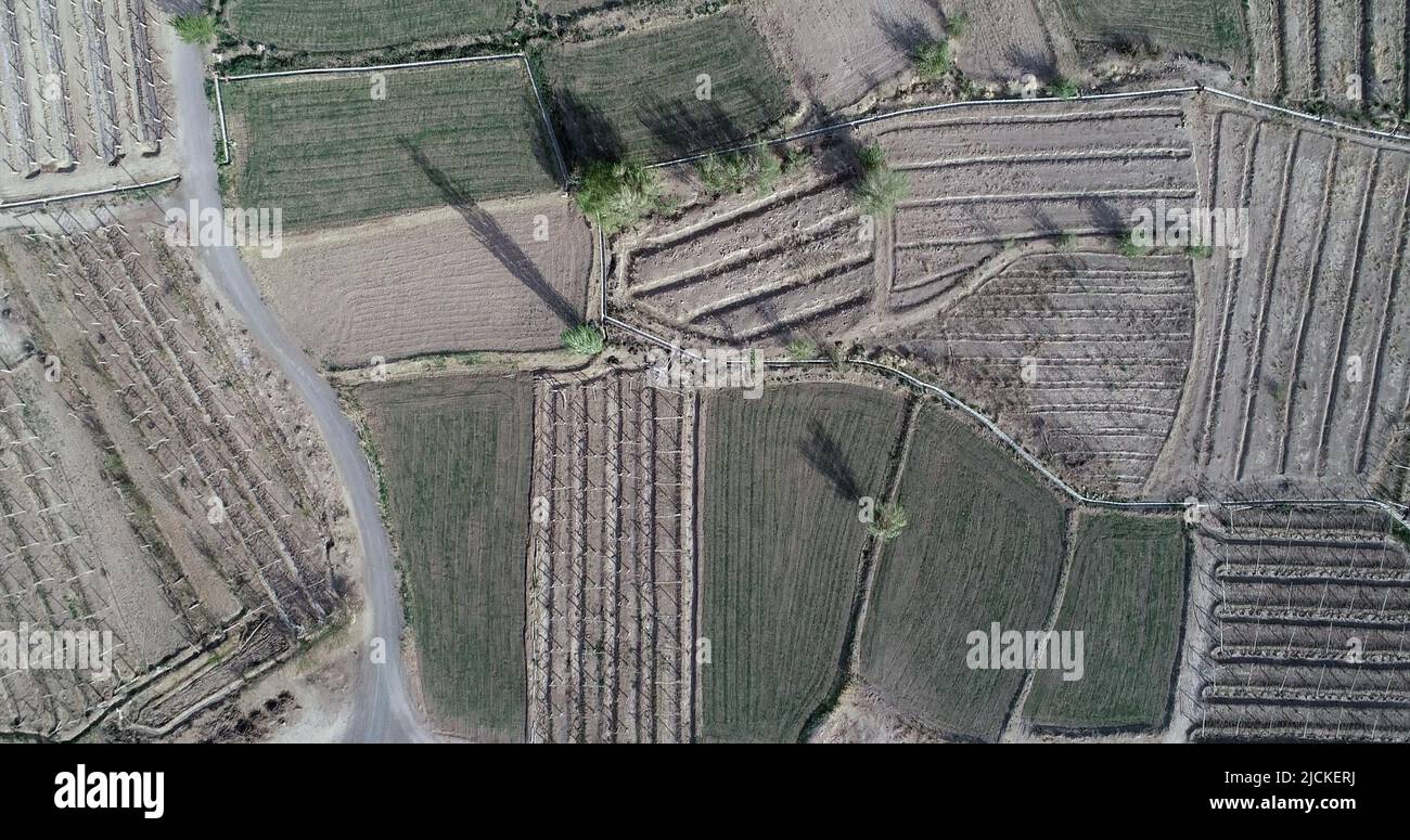 Jujube xinjiang hi-res stock photography and images - Alamy