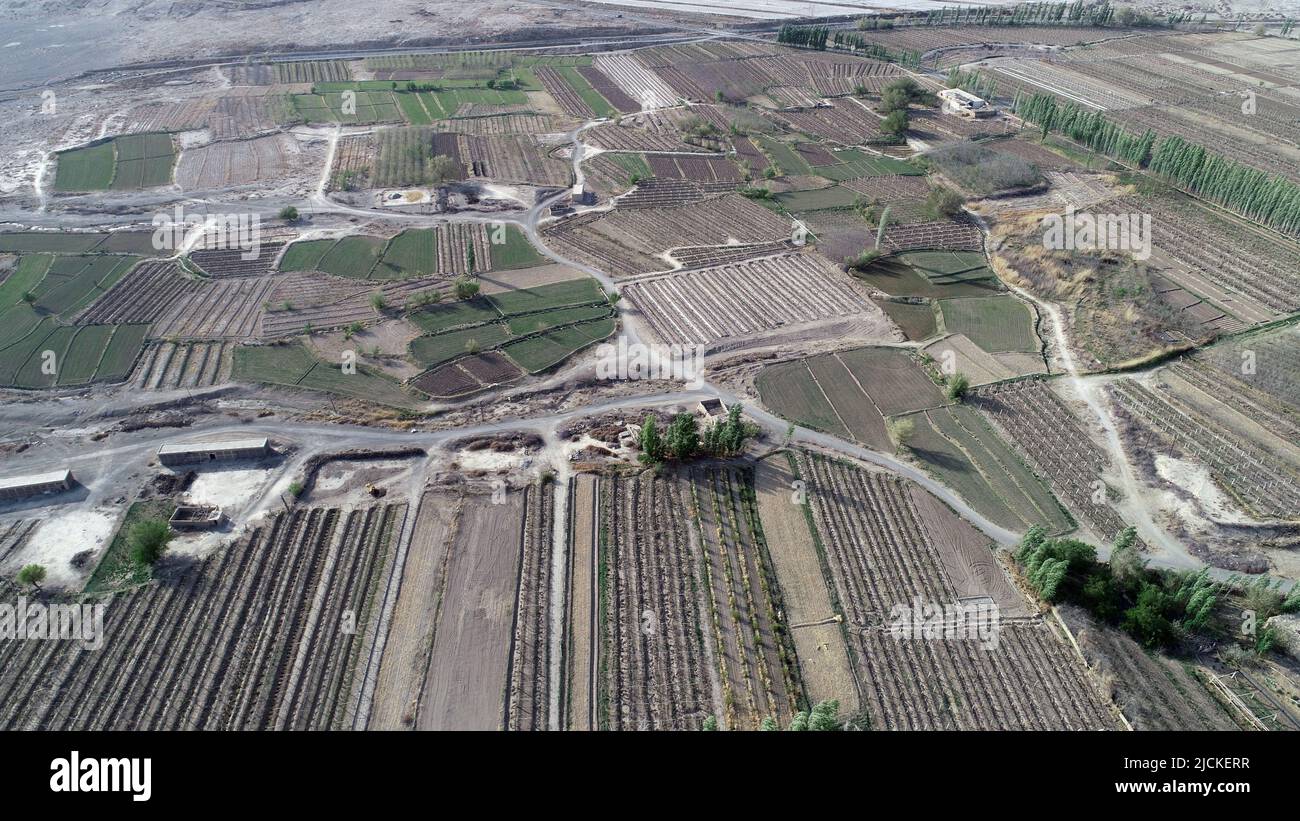Jujube xinjiang hi-res stock photography and images - Alamy