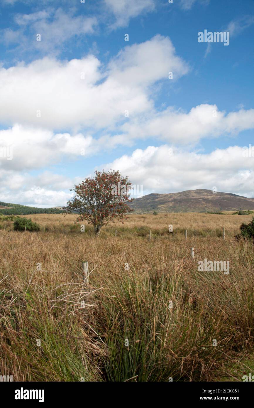 Clyde cairns hi-res stock photography and images - Alamy