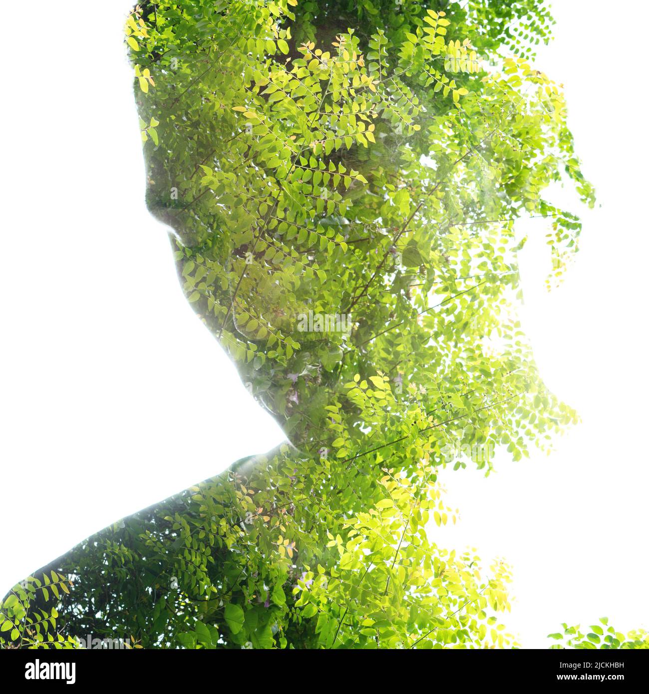 Double exposure man tree hi-res stock photography and images - Alamy