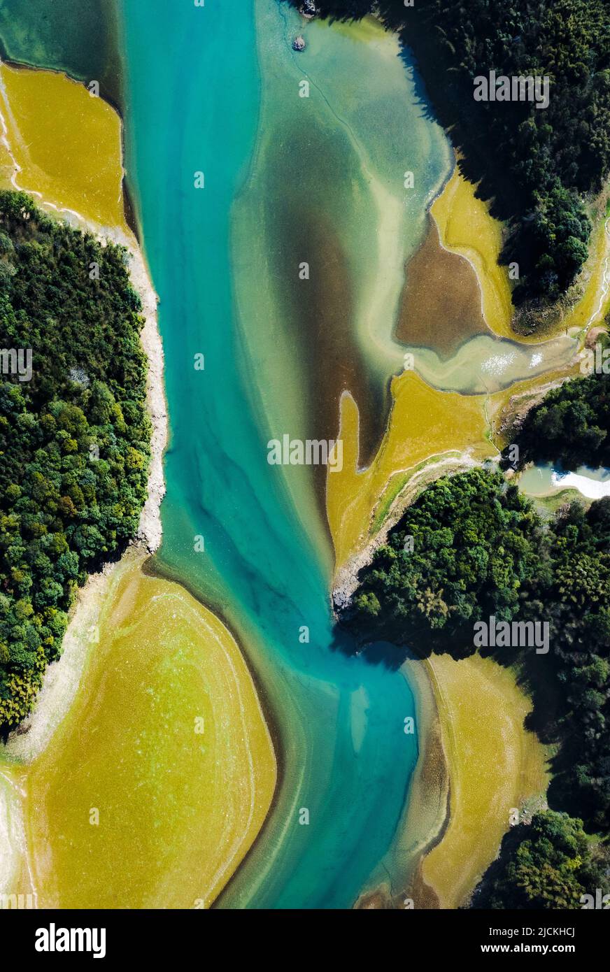 Guilin green lion tam Stock Photo - Alamy