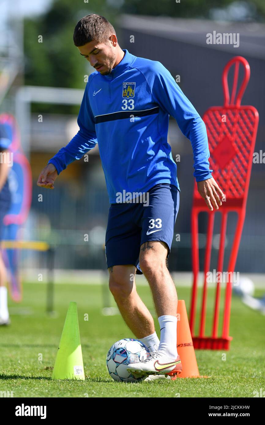 Westerlo players pictured during a training session ahead of the 2022 ...