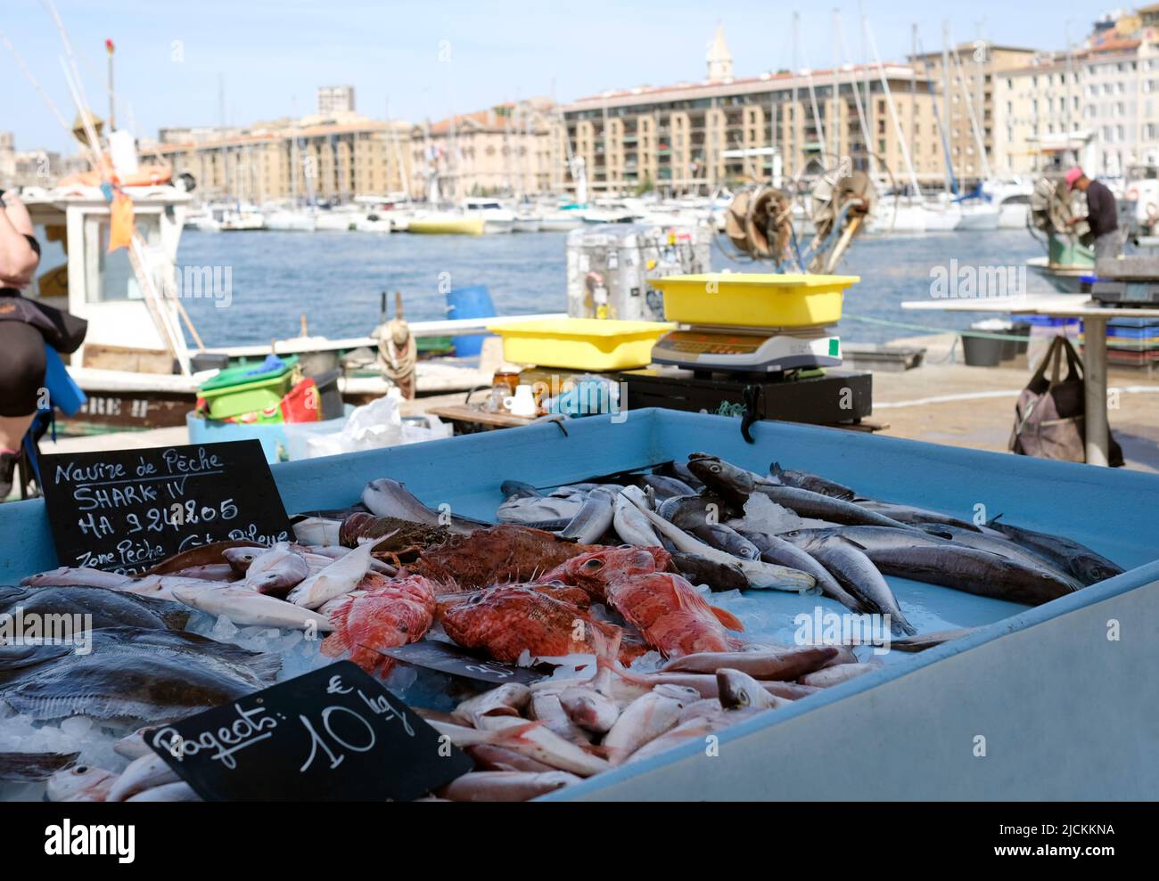 Fresh fish for sale at Vieux Port in Marseille, France Stock Photo - Alamy