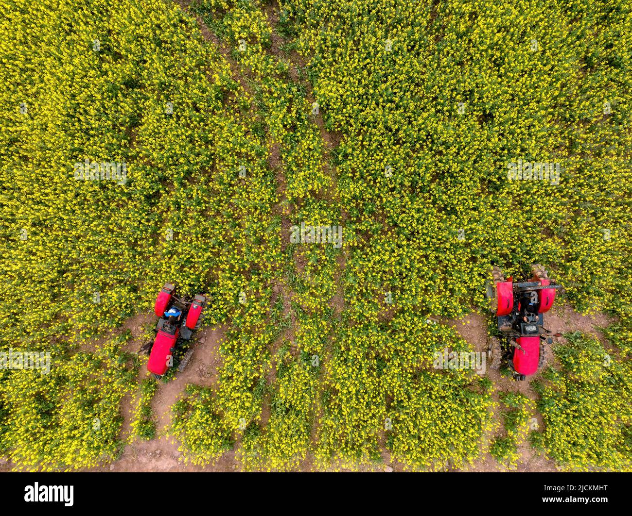 China chongqing rural hi-res stock photography and images - Alamy