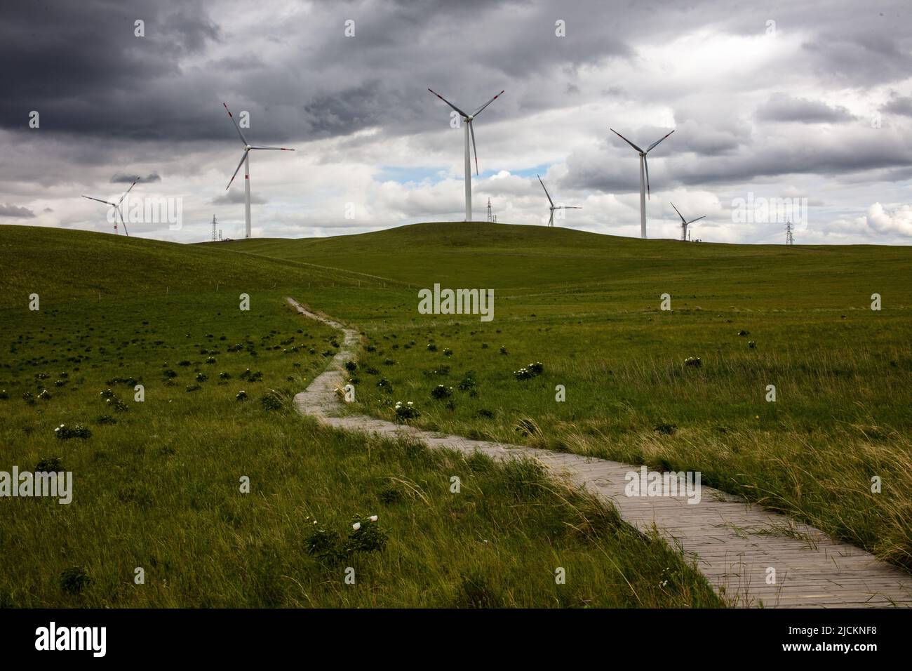 Peony valley hi-res stock photography and images - Alamy