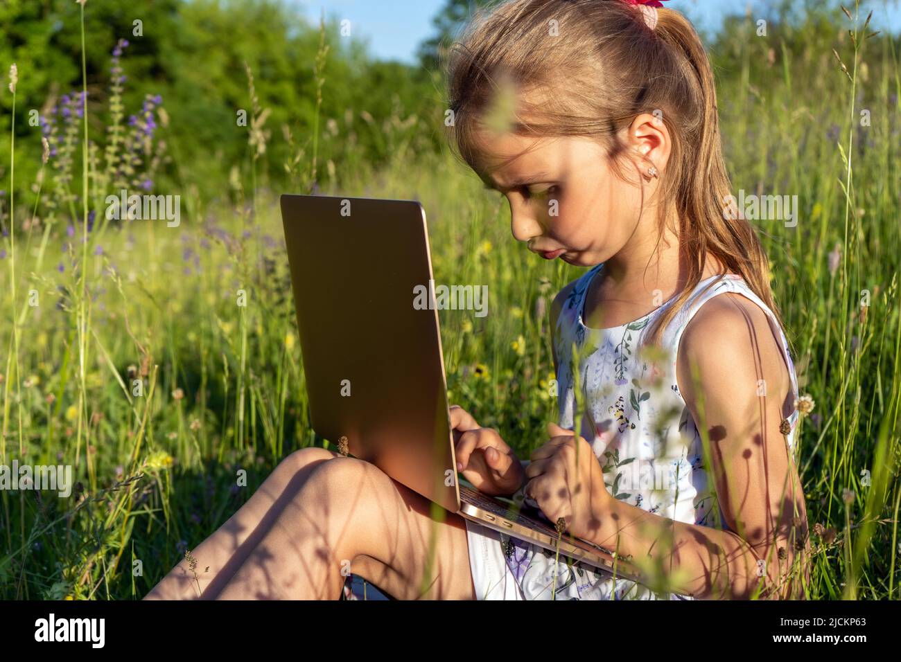 Little girl sitting on grass and using laptop. Education, lifestyle ...