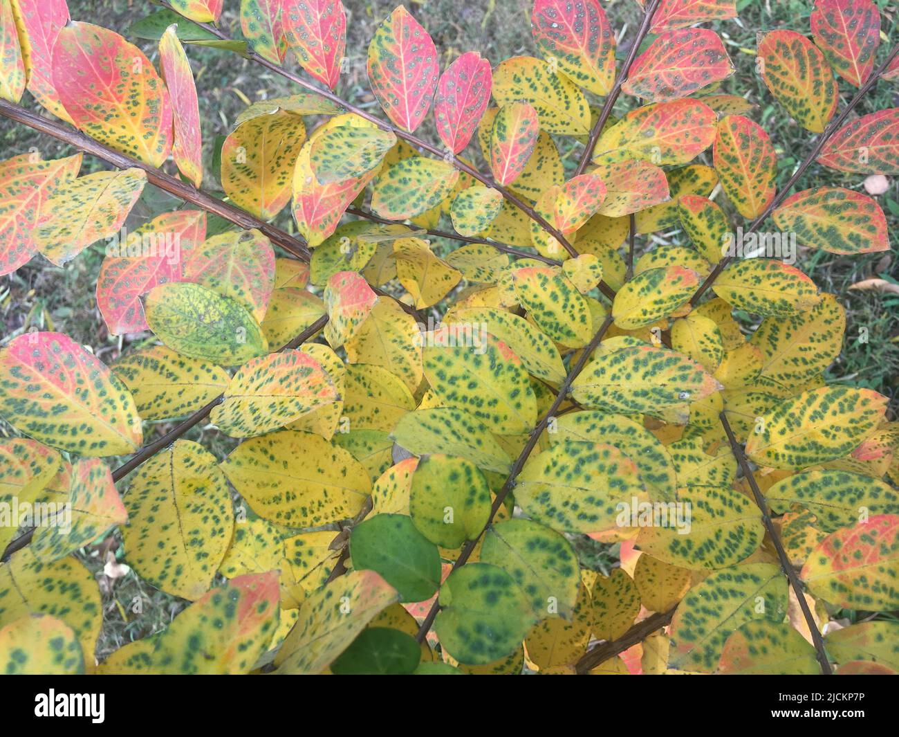 Qinhuangdao hi-res stock photography and images - Alamy