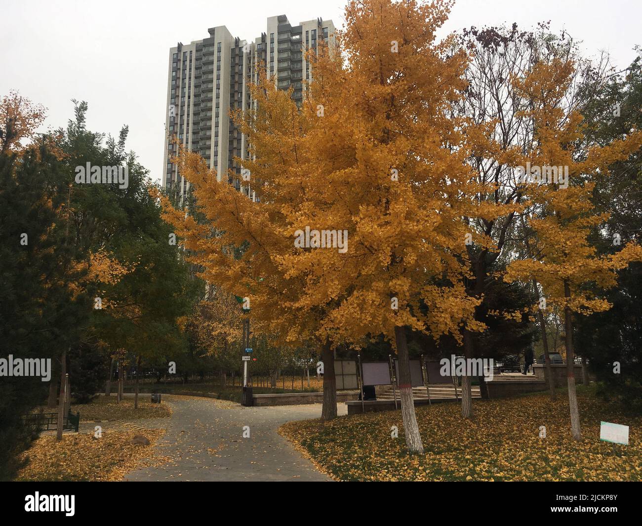 Qinhuangdao hi-res stock photography and images - Alamy