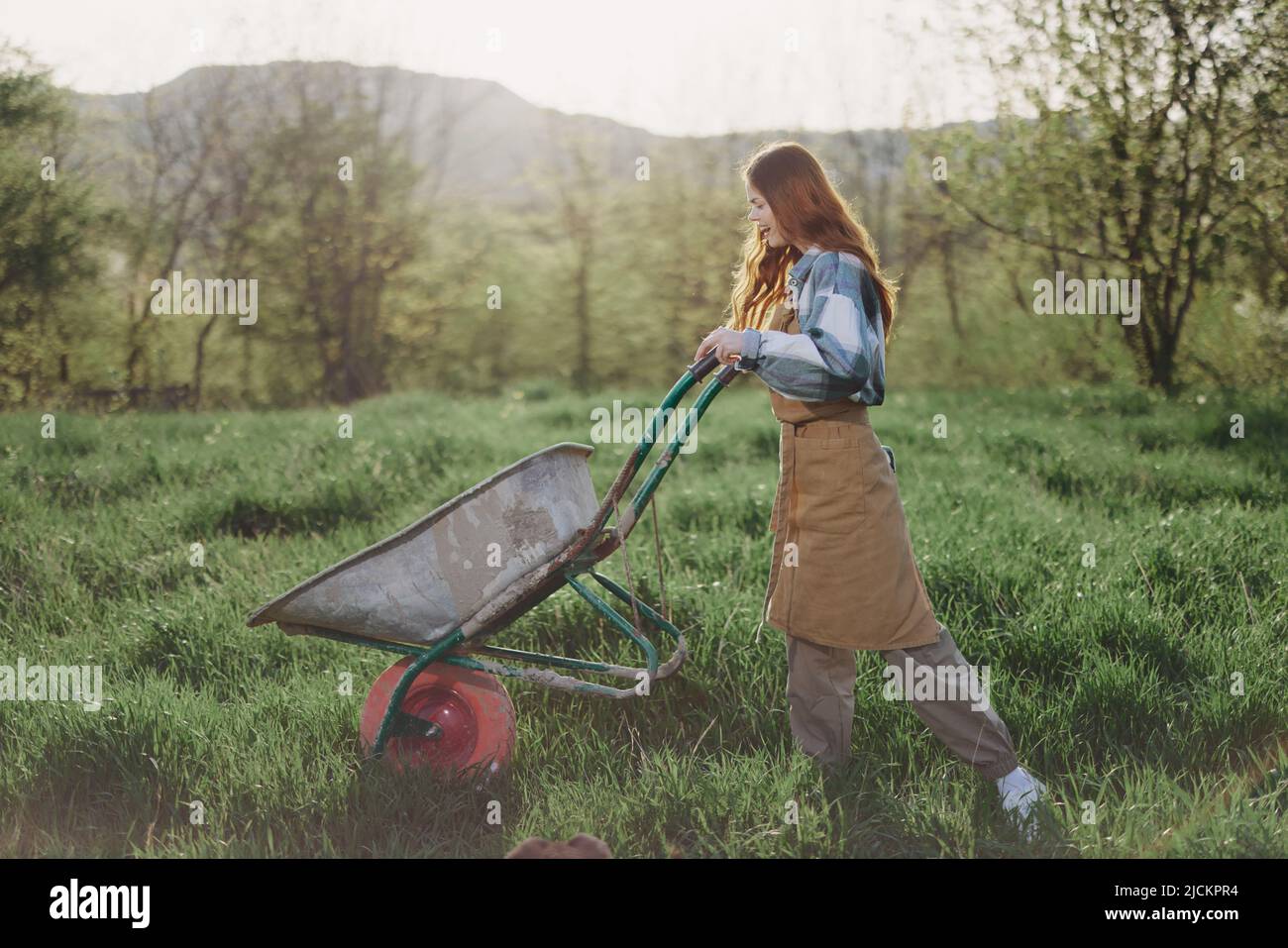 A young woman rolls a garden cart with soil for planting in her green ...