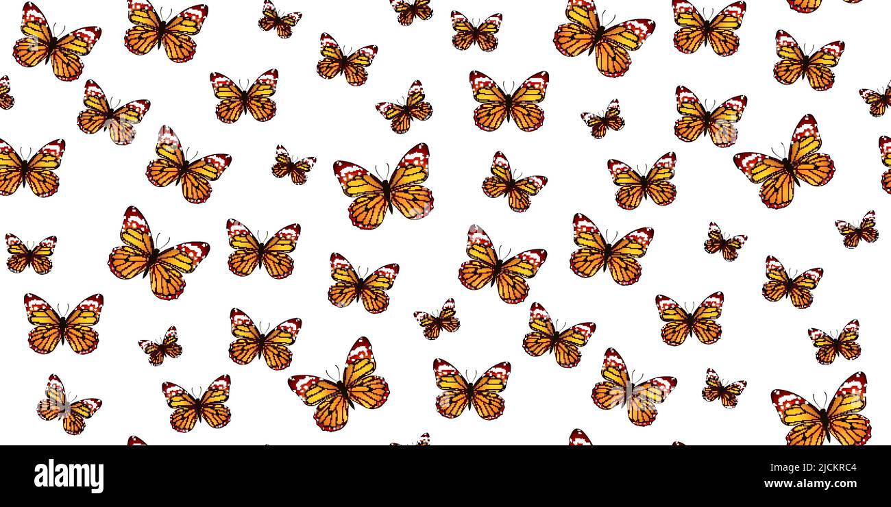 Top view of colorful butterflies with fully stretched wings. Seamless ...