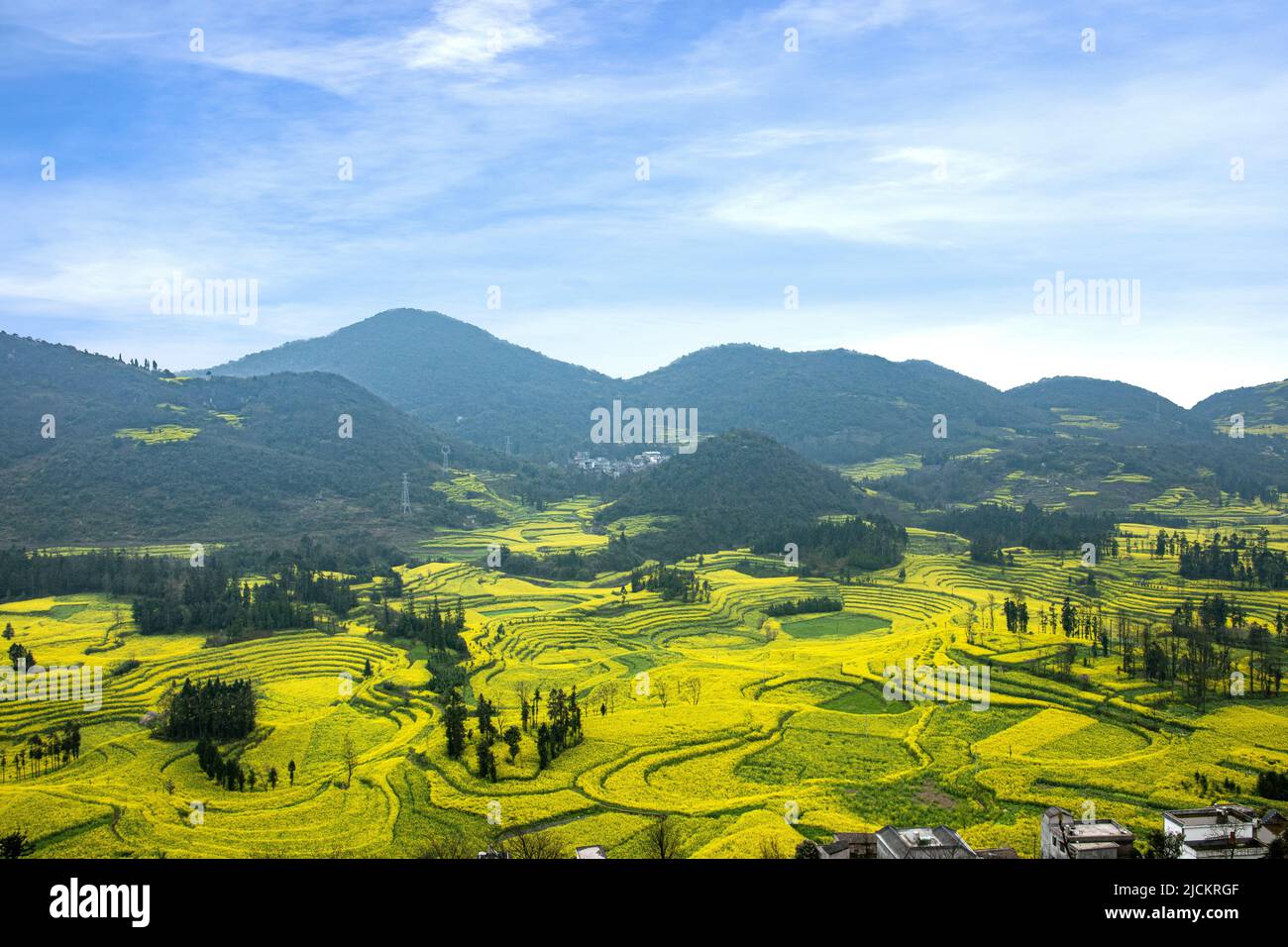 Yunnan qujing city luoping screw field of rape field Stock Photo - Alamy